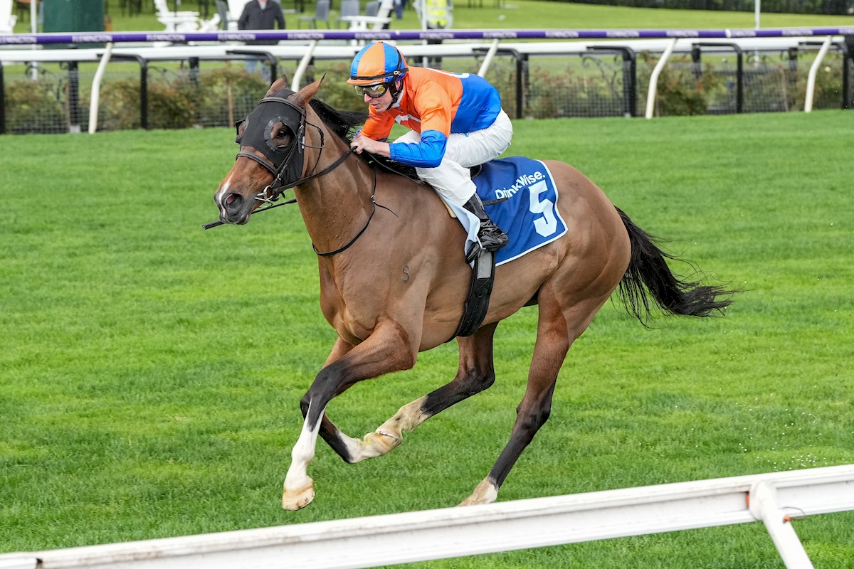 Danny O'Brien Racing - Press Box