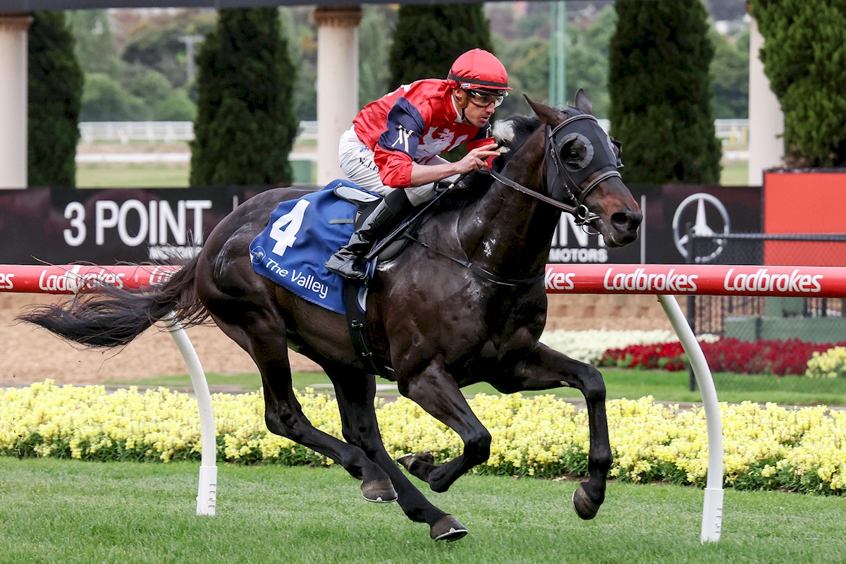Danny O'Brien Racing - Press Box