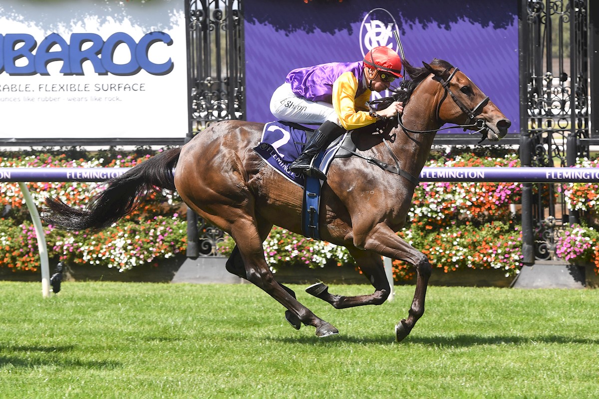 Danny O'Brien Racing - Press Box