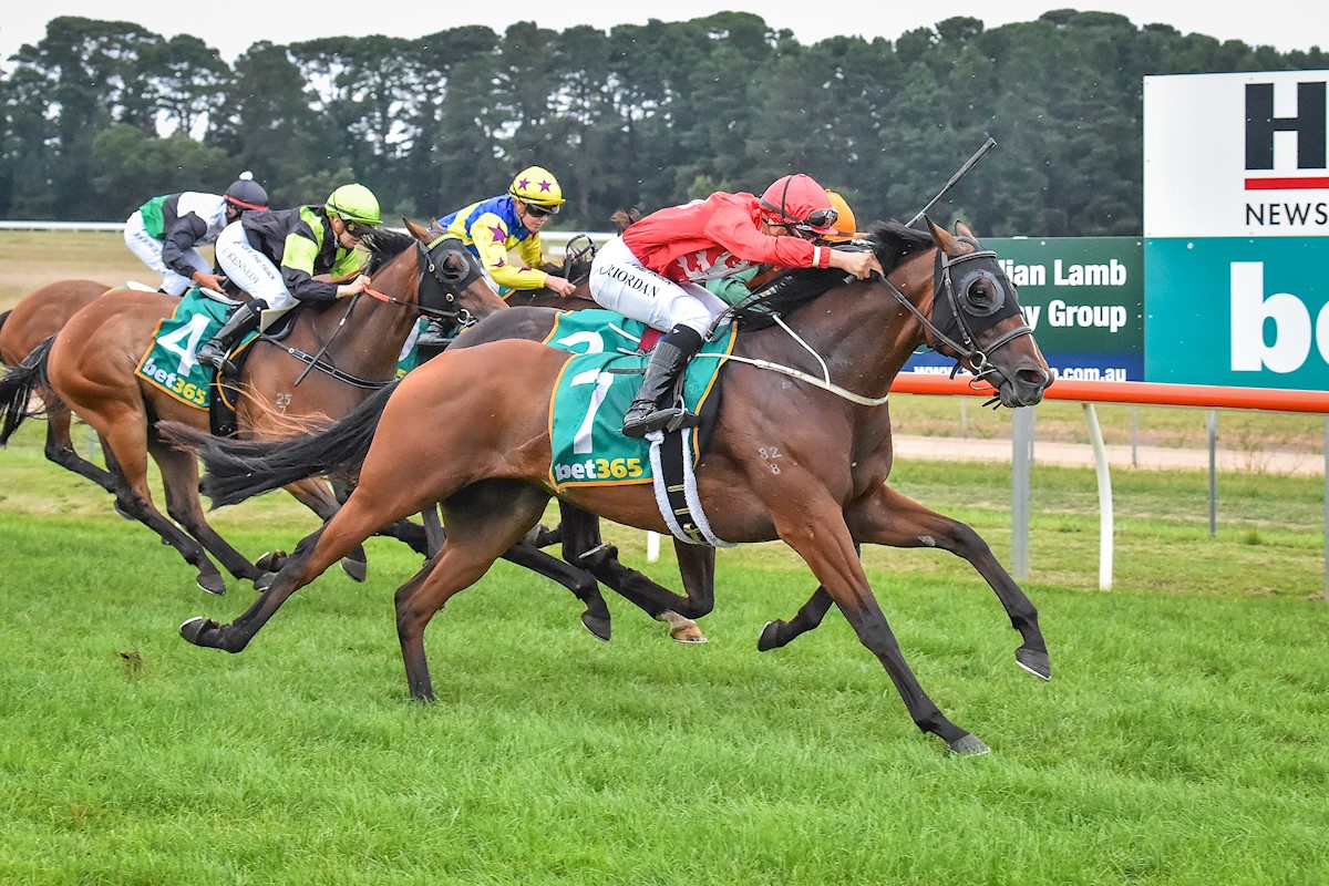 Danny O'Brien Racing - Press Box