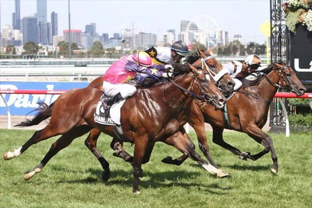 Danny O'Brien Racing