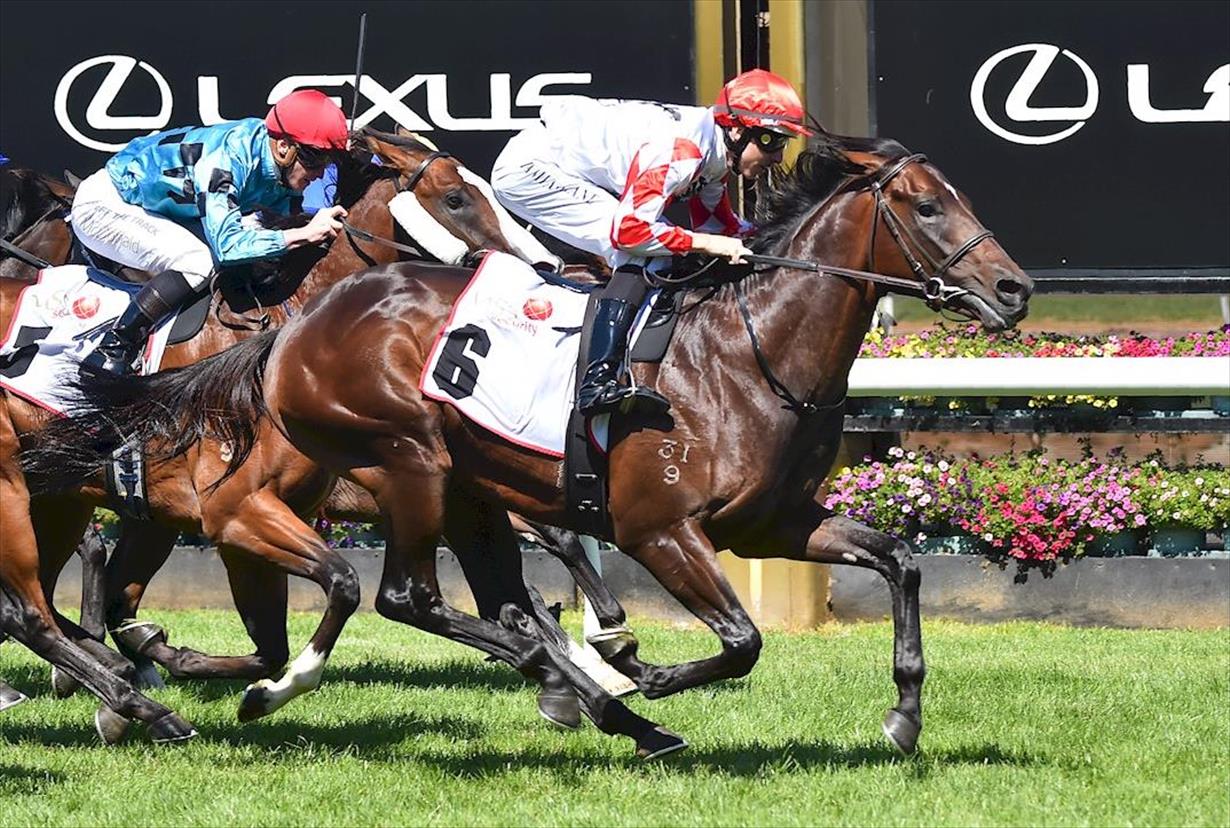 Danny O'Brien Racing