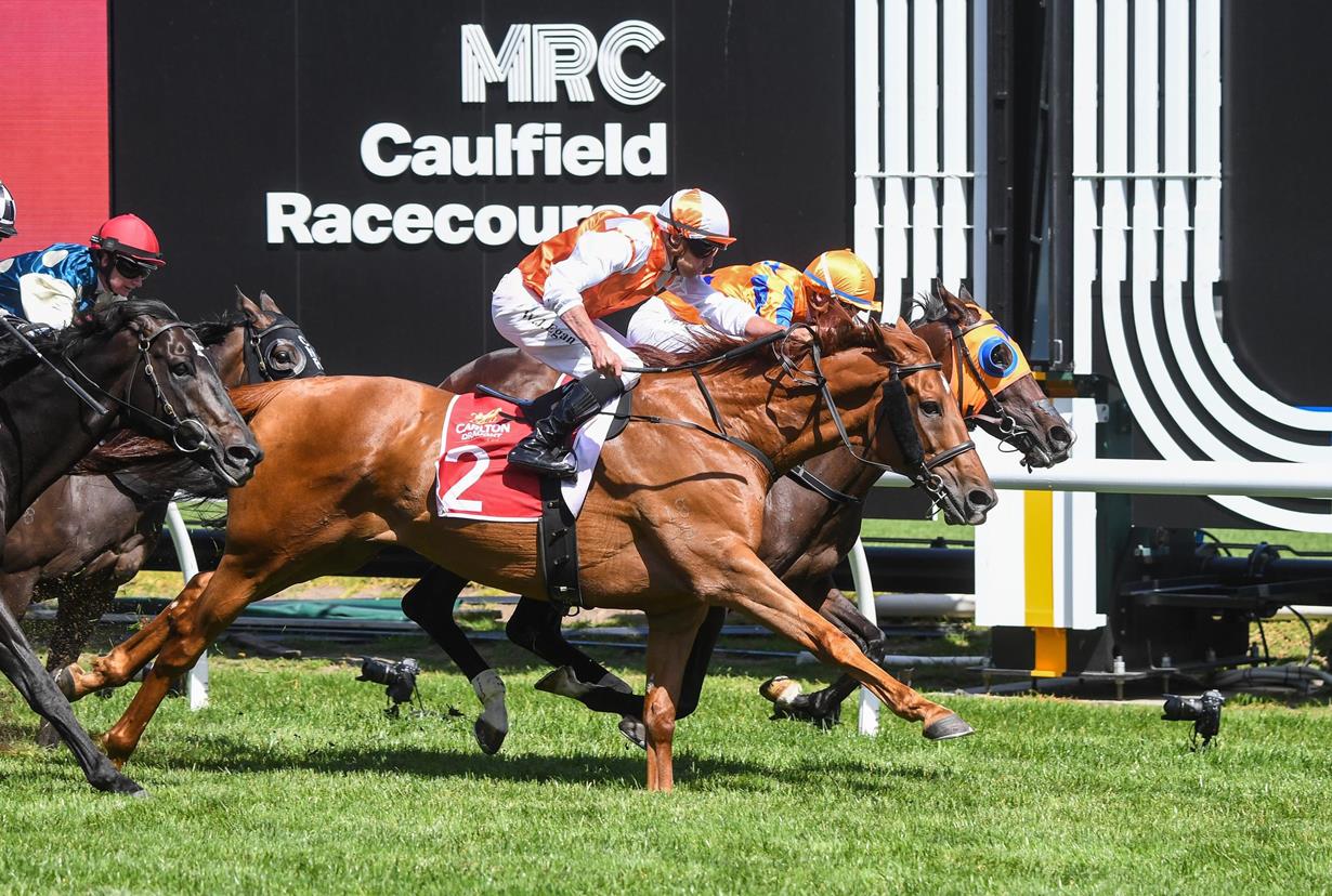 Danny O'Brien Racing